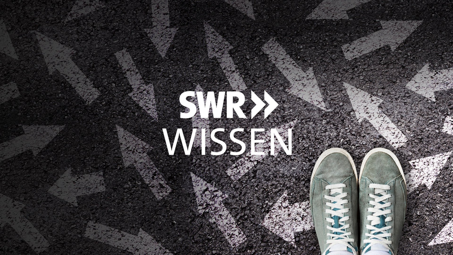 SWR Wissen - Videos der Sendung | ARD Mediathek