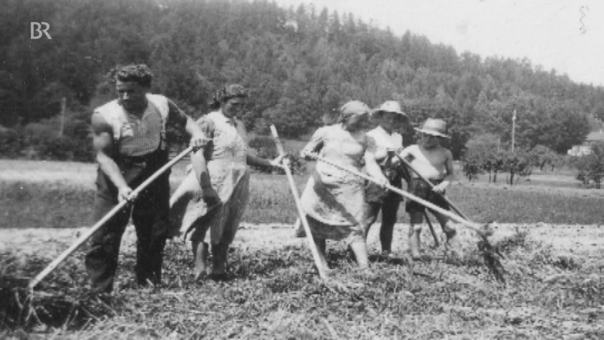 Schwaben + Altbayern: "Zwangsarbeiter in der Oberpfalz" | ARD Mediathek