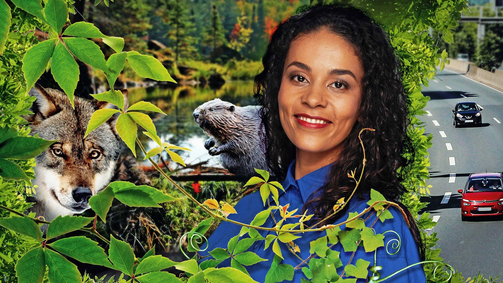 Quarks: Die Rückkehr der Wildnis: Wie neue Ökosysteme gelingen können ...