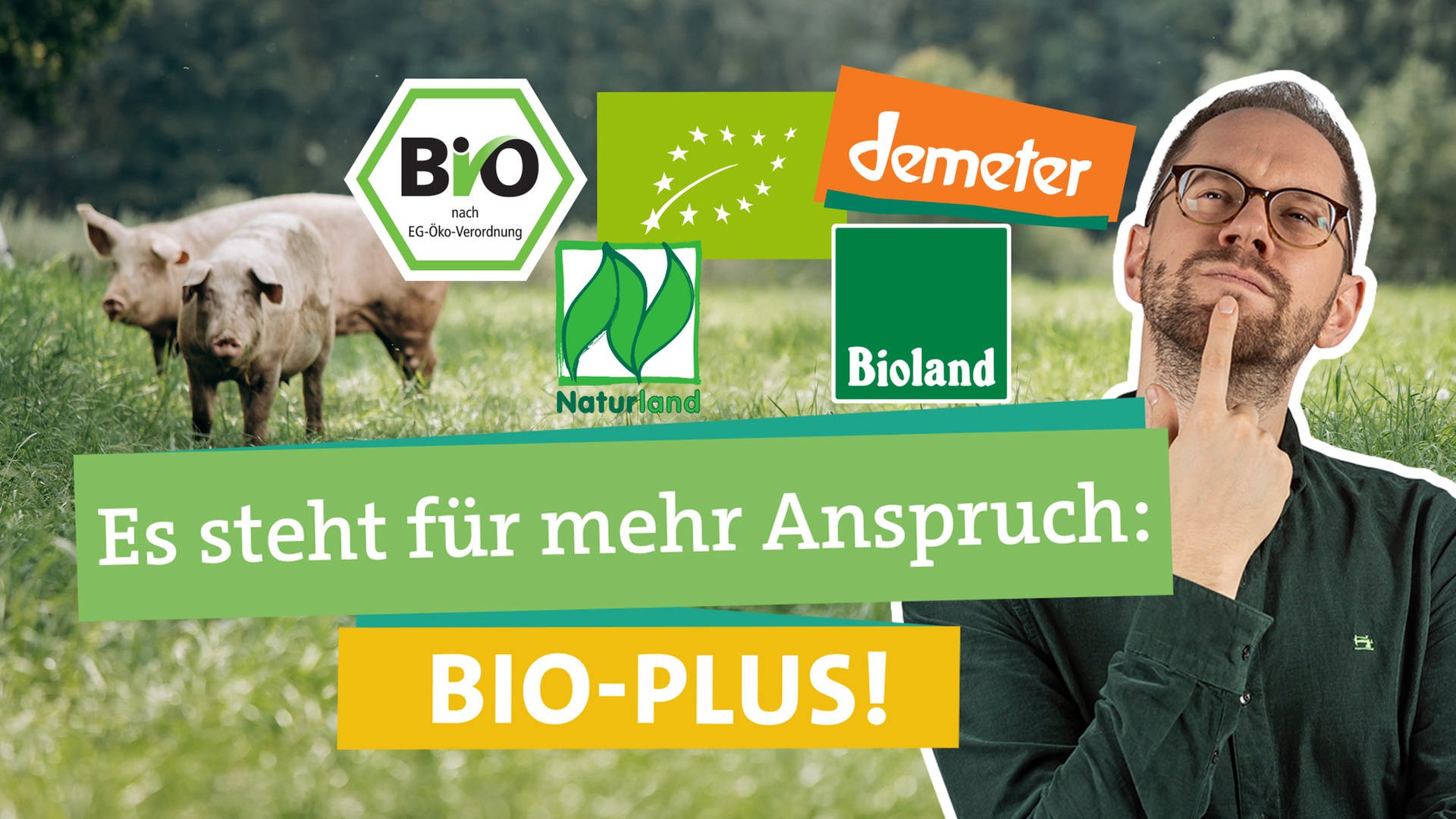 Demeter, Bioland, Naturland, EU-Bio: Wofür stehen die Biosiegel? I ...