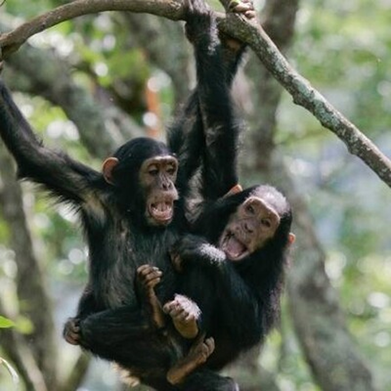 Eine Stunde Liebe - Deutschlandfunk Nova · Iris Gavric und Matthias Renger - Streiten mit Humor ...