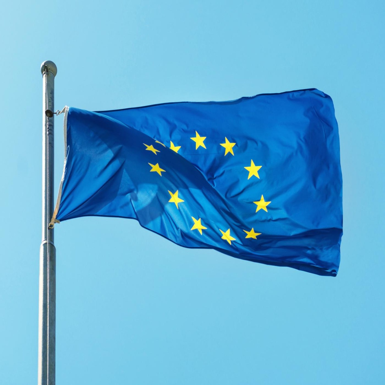 Die Neue Norm · Europawahl 2024 – Was die EU für Inklusion tun kann ...