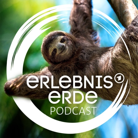 Erlebnis Erde – Eure Tierdoku zum Hören · Neue Folgen - Jetzt Podcast anhören!