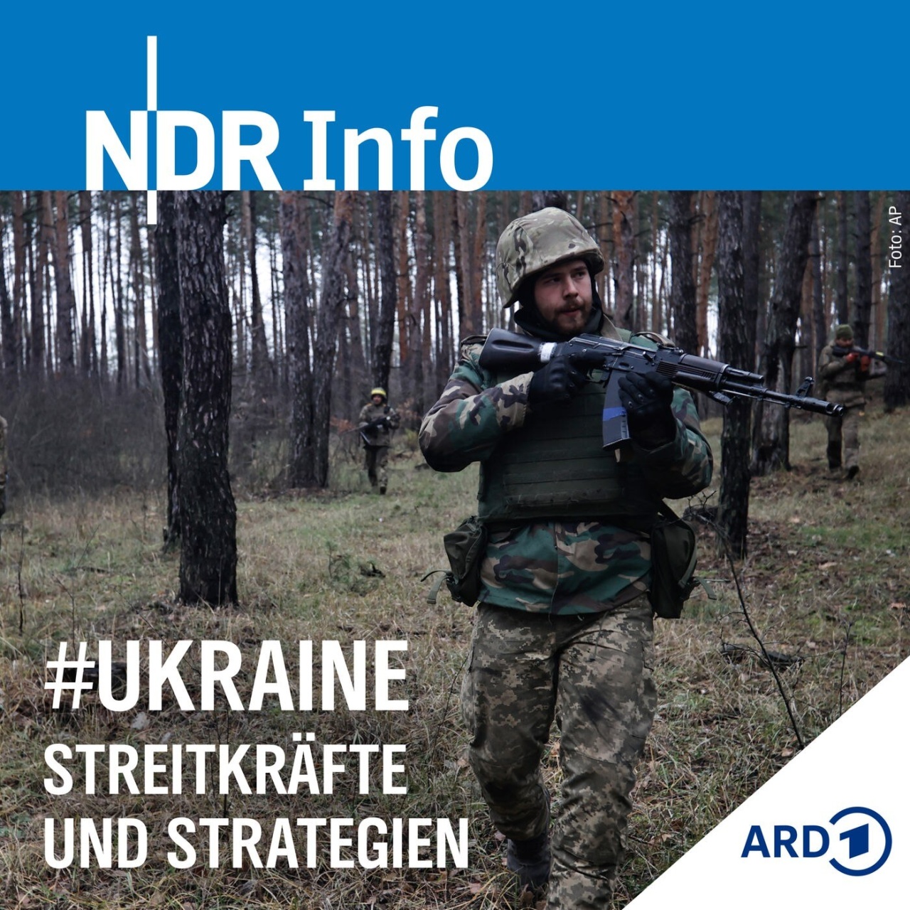 Streitkräfte und Strategien · Gepard, Biber und zu wenig Munition (Tag ... Streitkräfte und Strategien · Gepard, Biber und zu wenig Munition (Tag ...