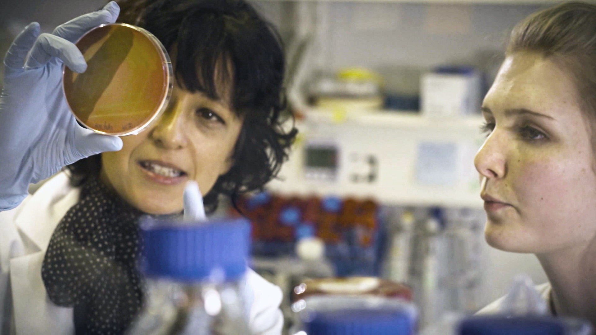 Quarks: CRISPR: Was ist das eigentlich? | ARD Mediathek