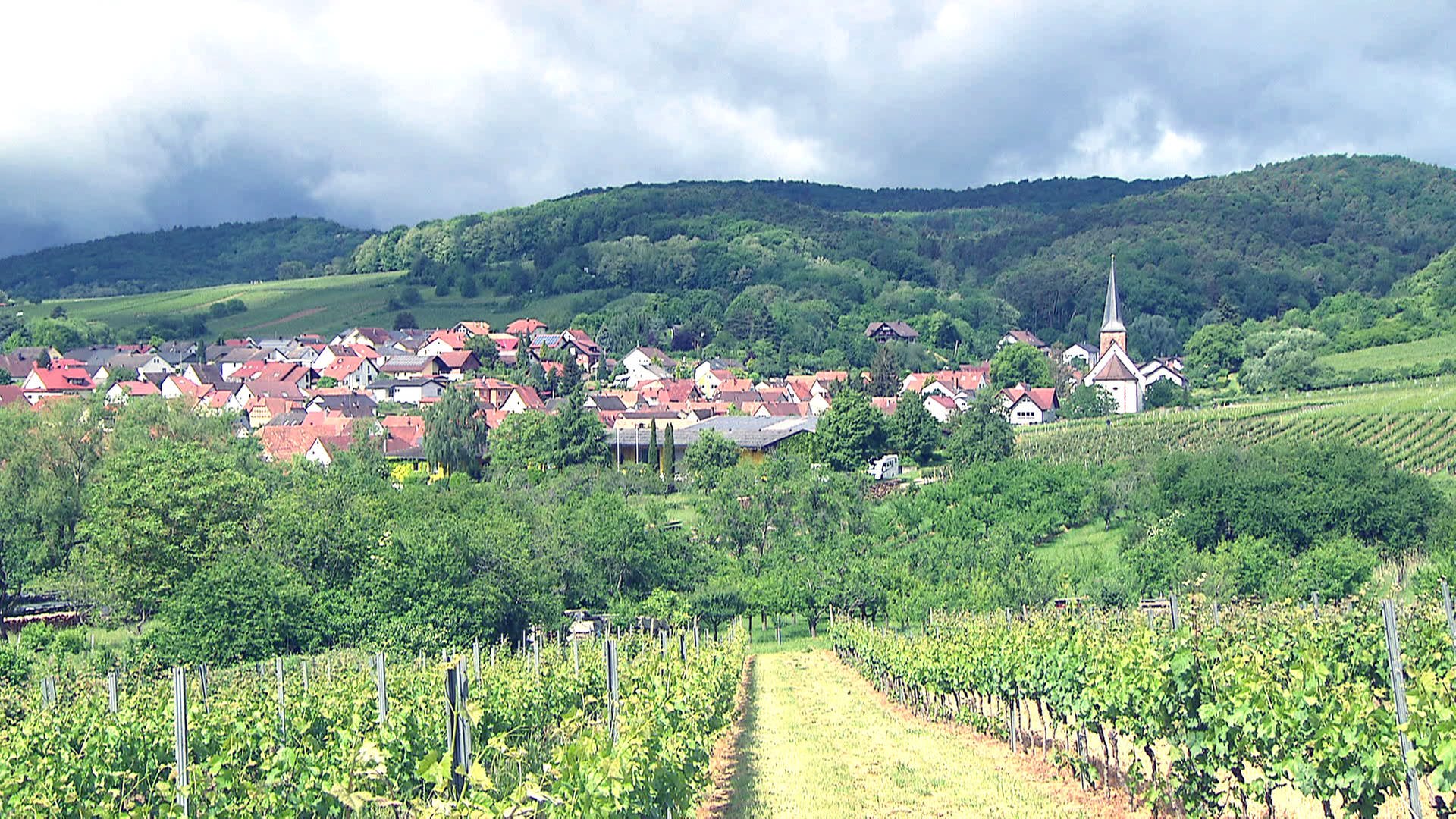 Landesschau Rheinland-Pfalz: Die Talstraße in Schweigen-Rechtenbach ...