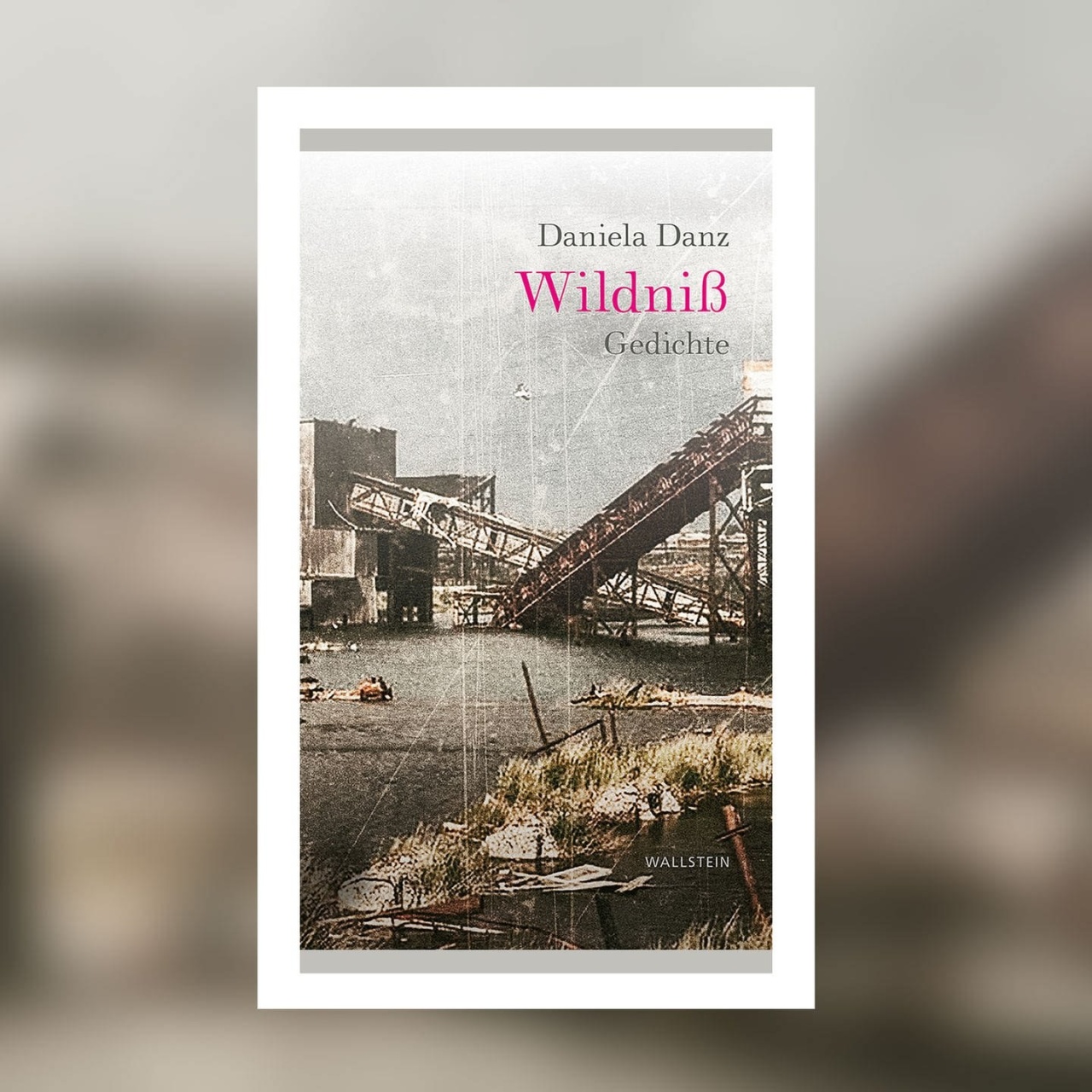 lesenswert Magazin · Daniela Danz - Du bist ans Ende der Welt gereist ...