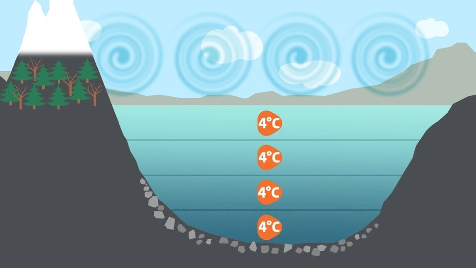 alpha Lernen | Physik: Die Anomalie des Wassers | ARD Mediathek