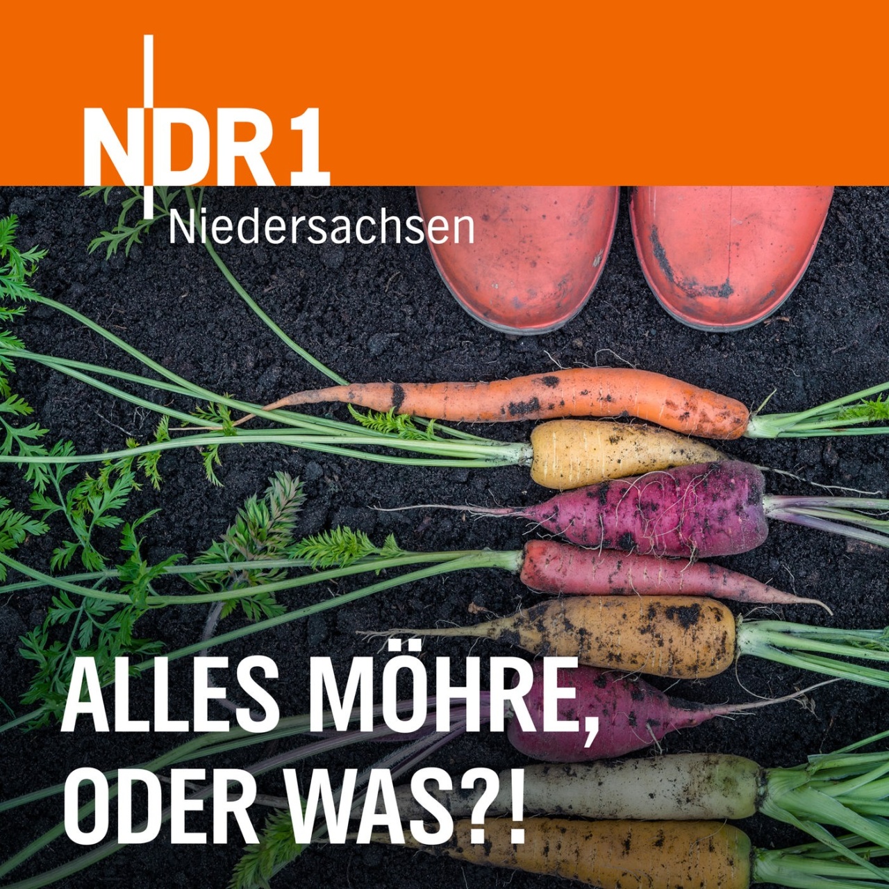 Im Grünen Bereich – Der NDR Gartenpodcast · Die letzten Herbst-Kulturen ...