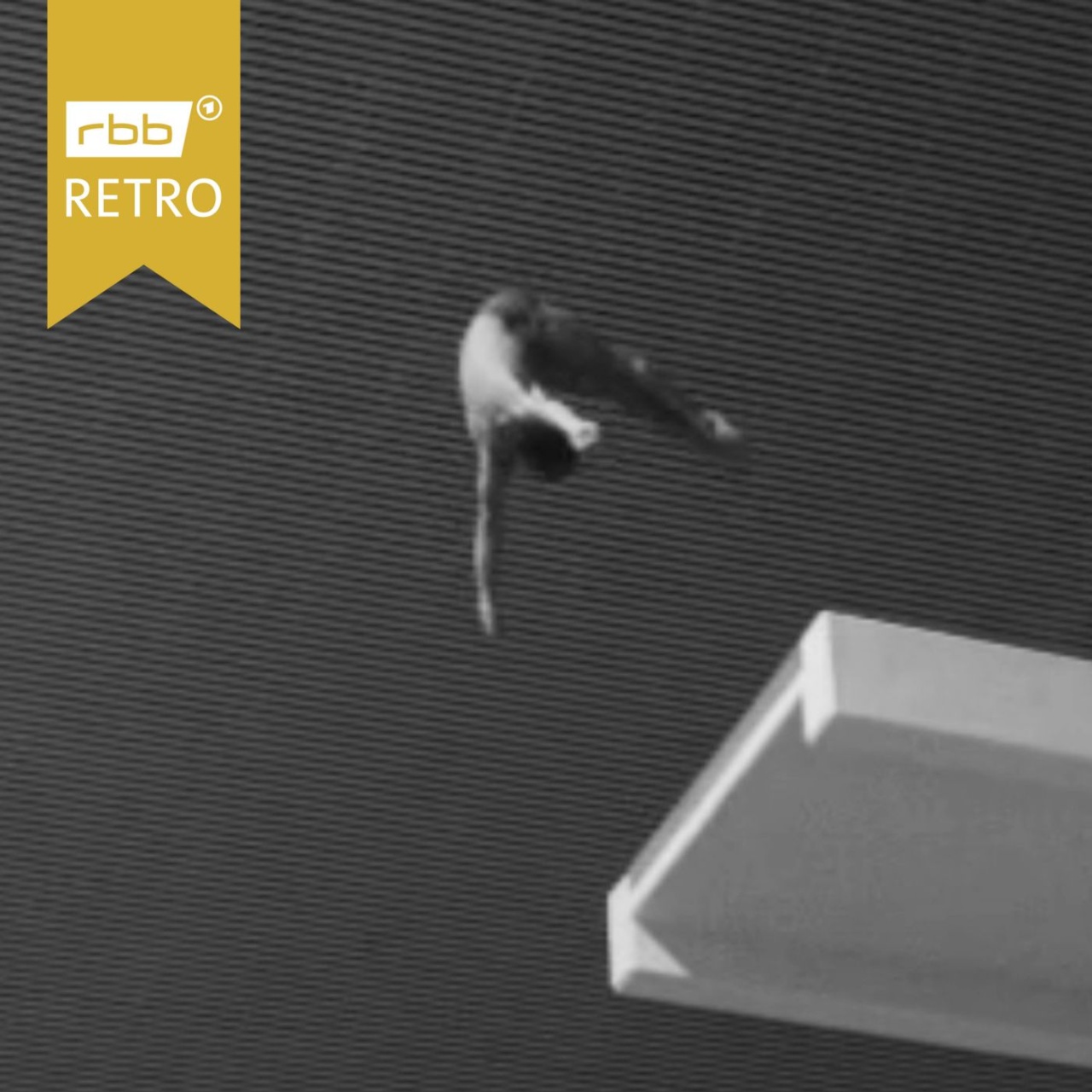 rbb Retro - 1956 · Hertha BSC und Wasserspringen | Interview mit Hanne und Werner Sobek ...