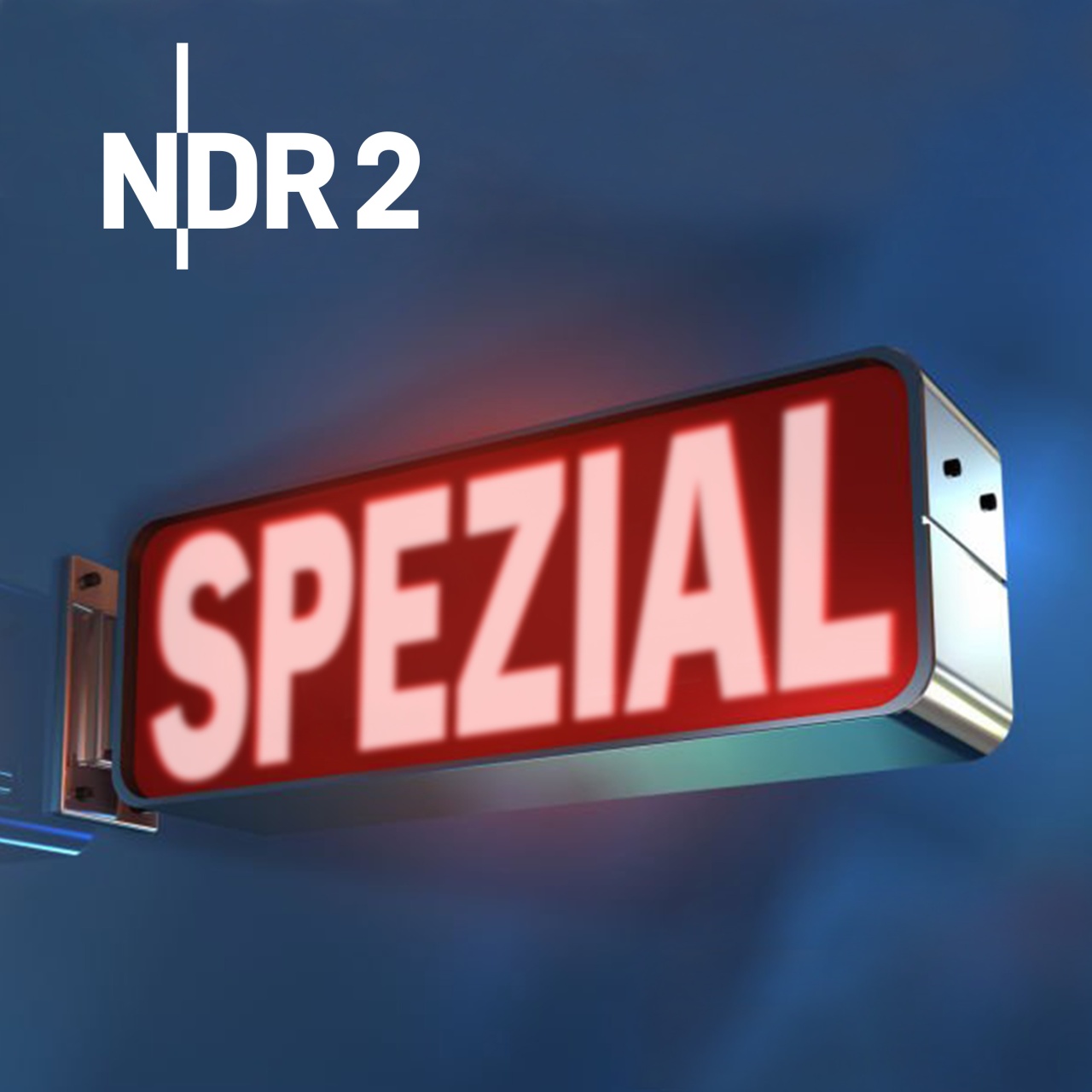 NDR 2 Spezial · NDR 2 Spezial: No Risk No Fun? So entscheiden wir uns ...