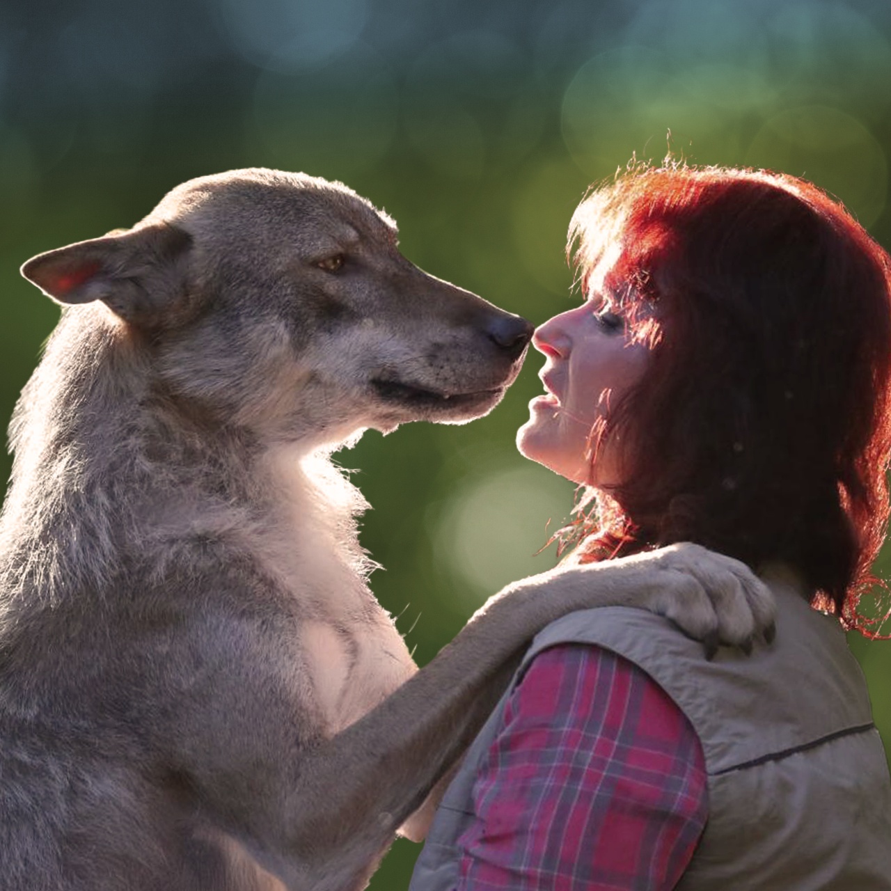 Mit Tieren sprechen – Verständigung von Mensch und Tier auf Augenhöhe ...