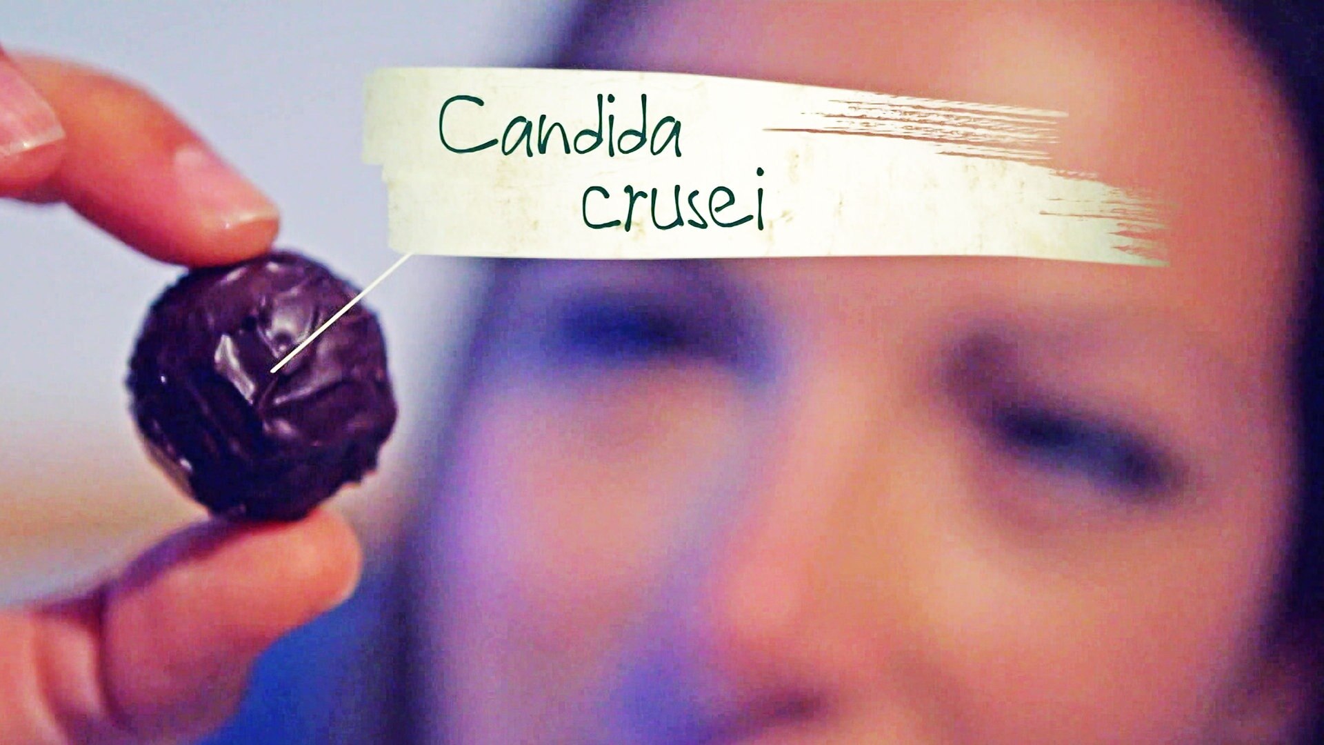 Quarks: Pilze in der Lebensmittelherstellung | ARD Mediathek