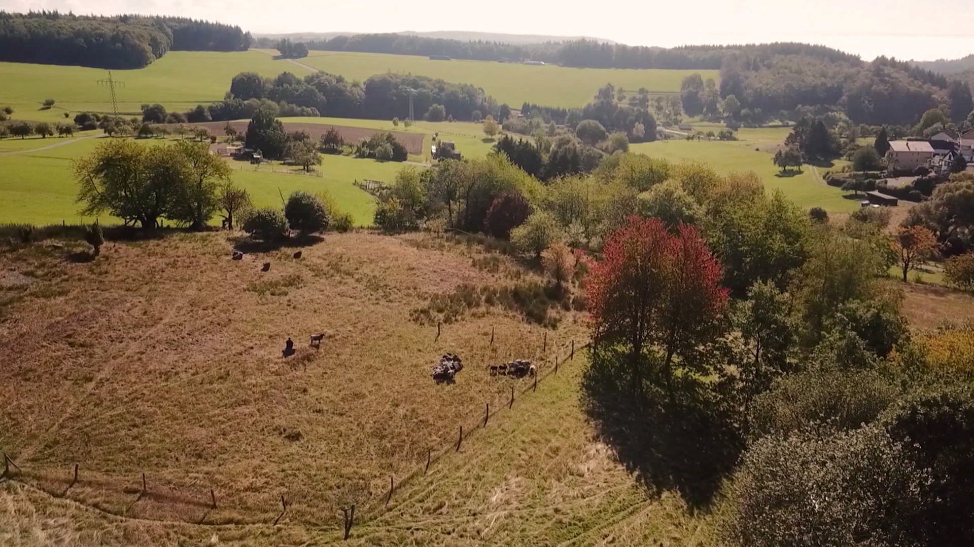 Fahr mal hin: Eine Landschaft zum Entspannen - Das Rengsdorfer Land im ... Fahr mal hin: Eine Landschaft zum Entspannen - Das Rengsdorfer Land im ...