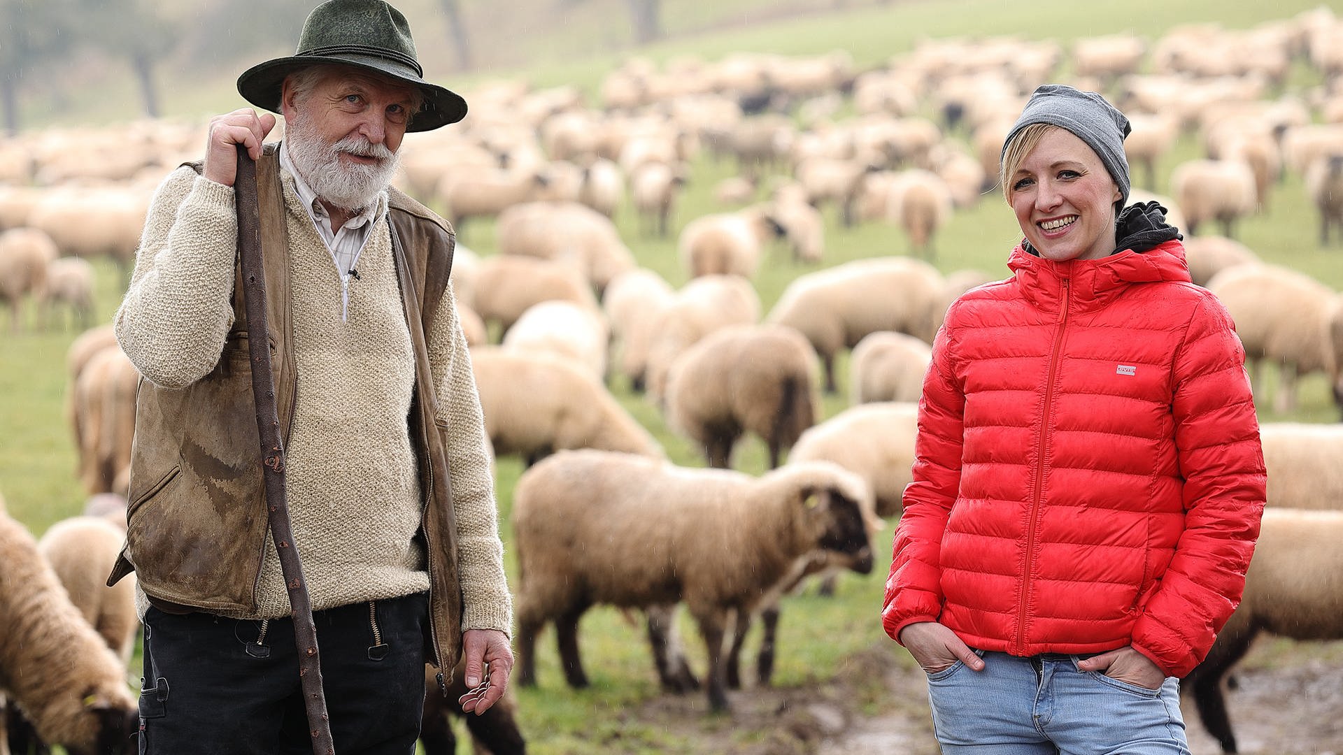 Expedition in die Heimat: Unterwegs mit Wanderschäfern im Dreiländereck ...