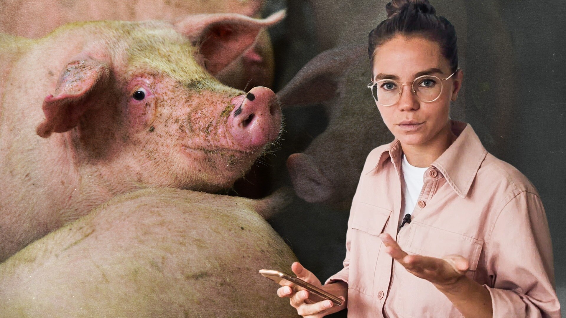 ZAPP: Böse Bauern? Die Landwirtschaft in den Medien | ARD Mediathek