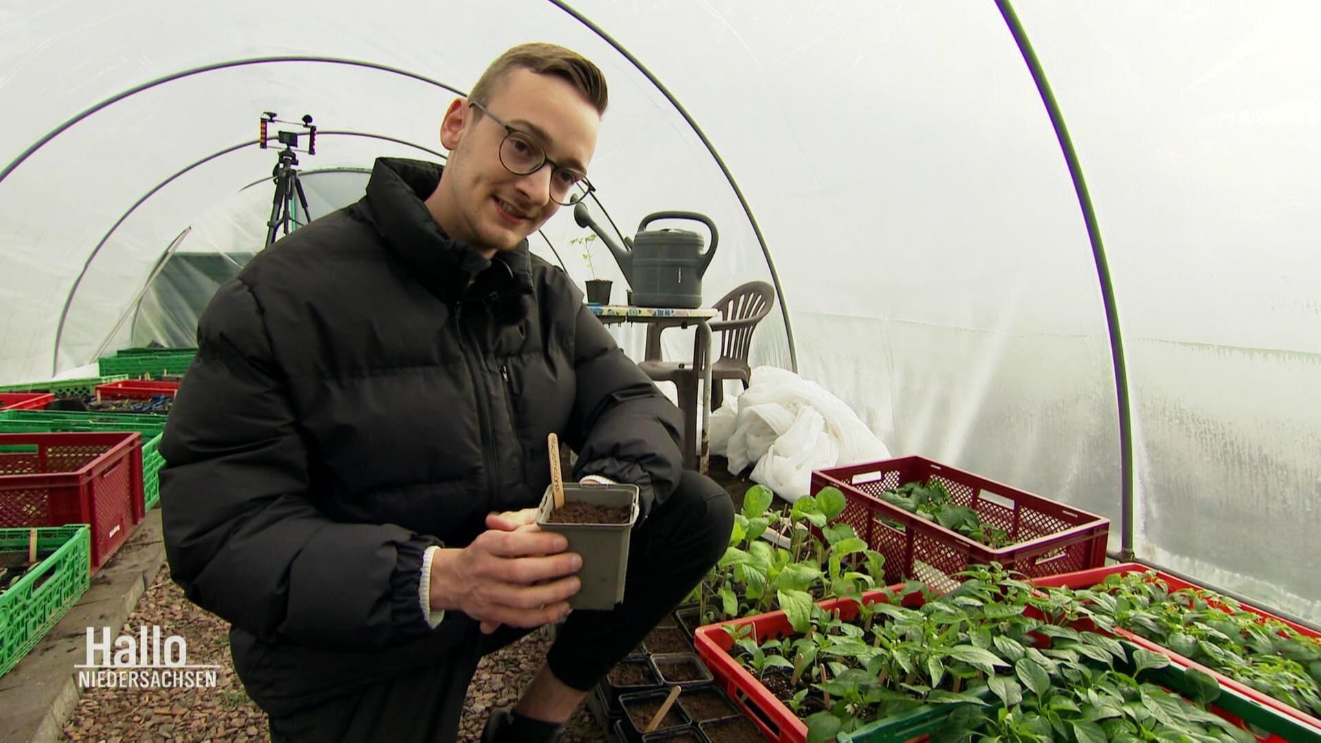 Hallo Niedersachsen: Frühlingsboten: Der Garten-Influencer aus Lingen ... Hallo Niedersachsen: Frühlingsboten: Der Garten-Influencer aus Lingen ...