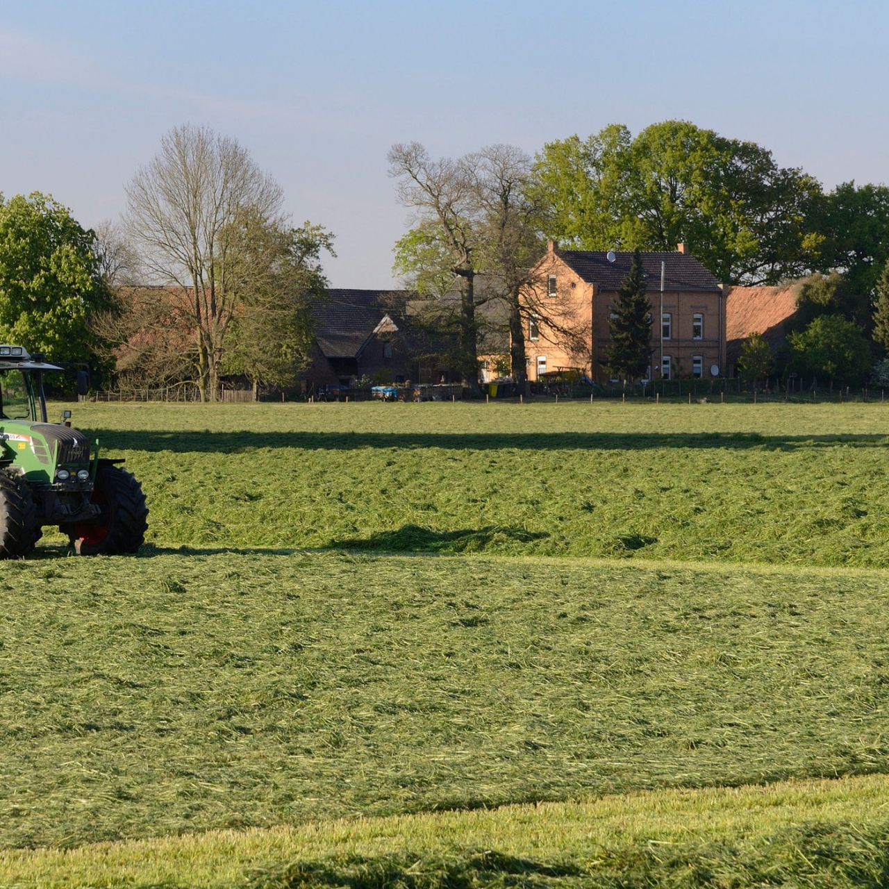 WDR 4 Auges Heimatgeschichten · Der Roahser Häer in Viersen · Podcast ...