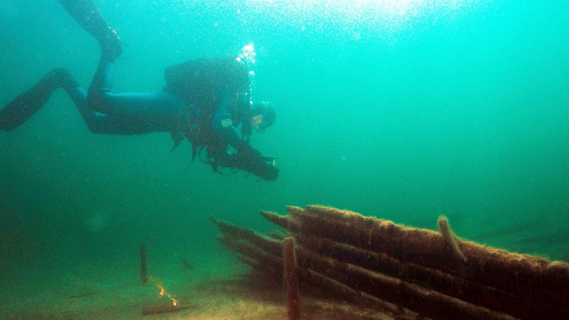 Science Talk: Wracks im Bodensee werden erforscht | ARD Mediathek