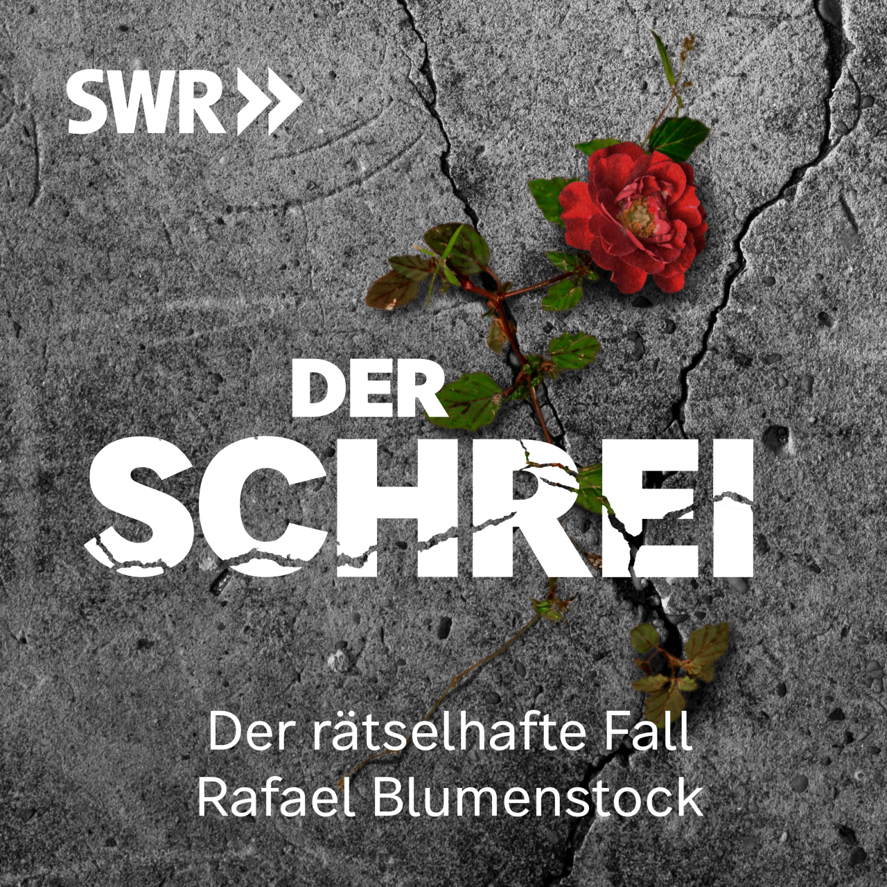 Der Schrei – Der rätselhafte Fall Rafael Blumenstock · Neue Folgen - Jetzt Podcast anhören!
