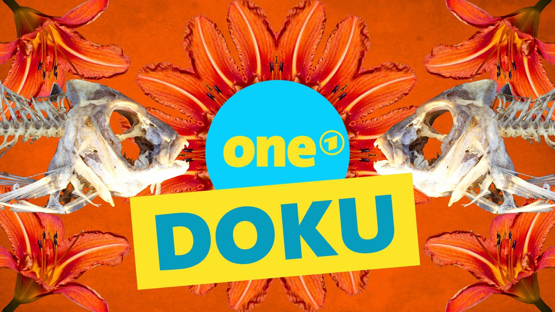 Doku & Reportage - Videos der Sendung | ARD Mediathek