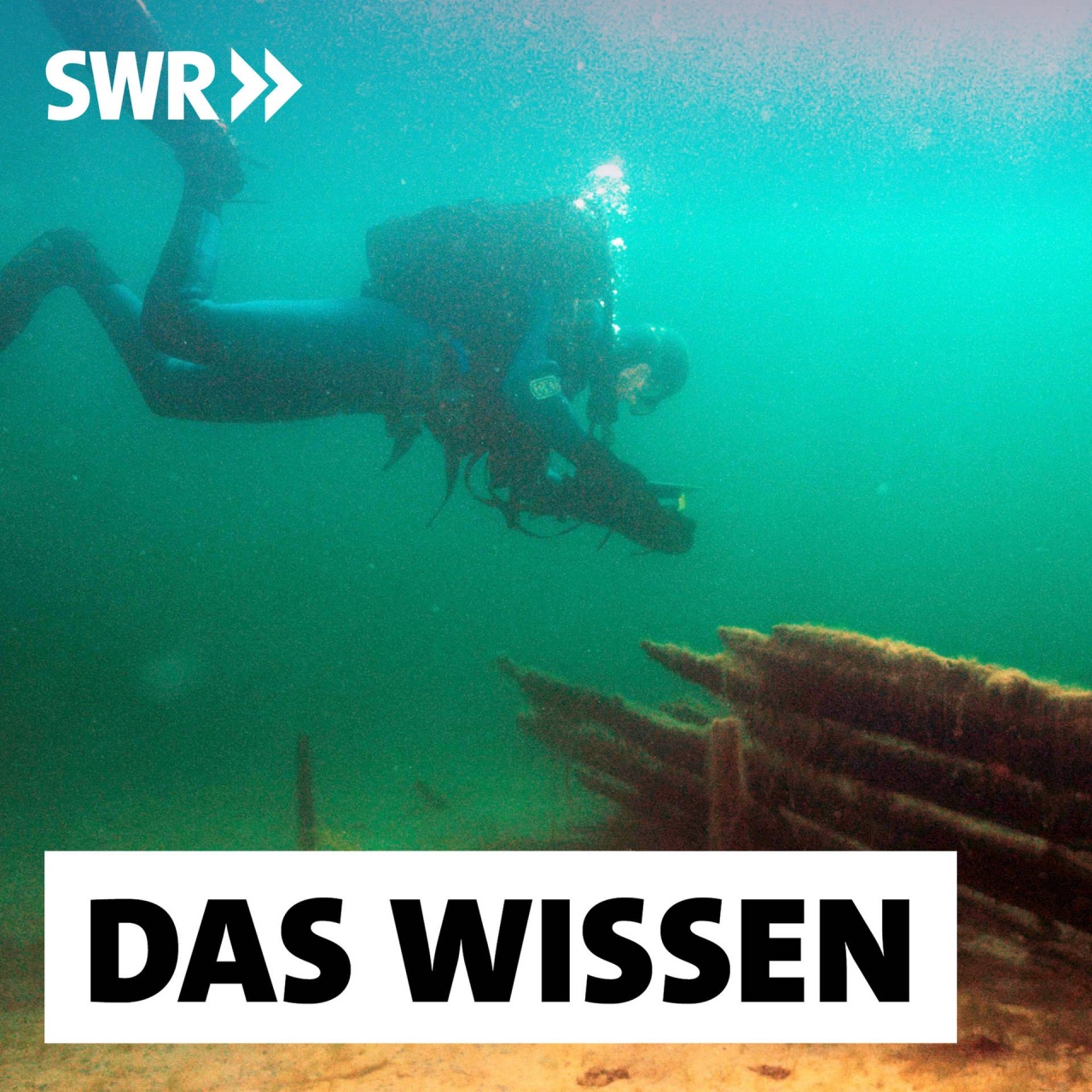 Das Wissen · Unterwasser-Archäologie im Bodensee - Schiffswracks ...