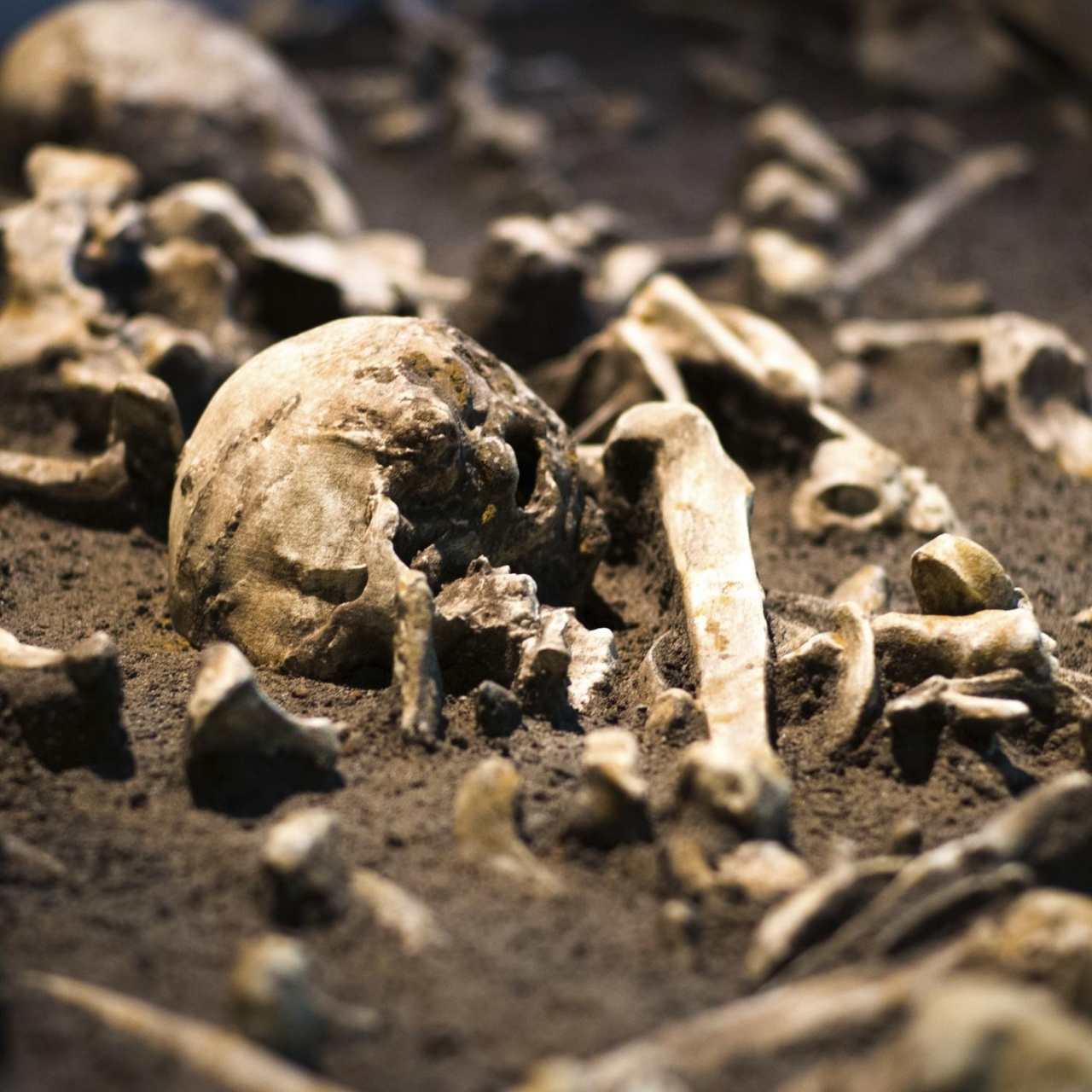 Alles Geschichte - Der History-Podcast · LEBEN VOR JAHRTAUSENDEN - Das Rätsel vom Tollensetal ...