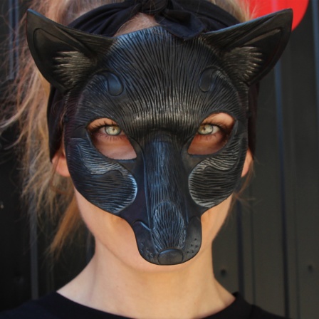 Aufgefallen – der sächsische Kulturpodcast · Engagiert: "AntiFuchs" bei ...