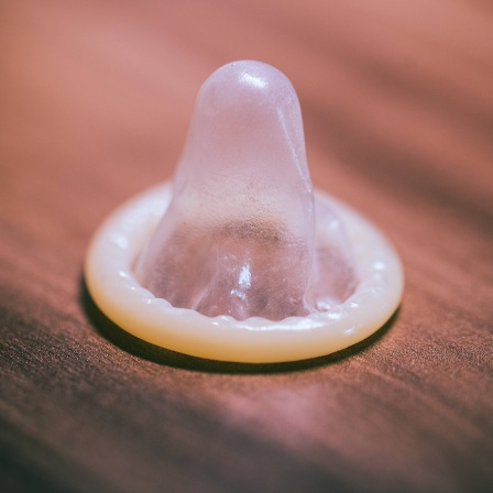 Der Stichtag – Die Chronik der ARD · 12. Mai 1945: Todestag Julius ...