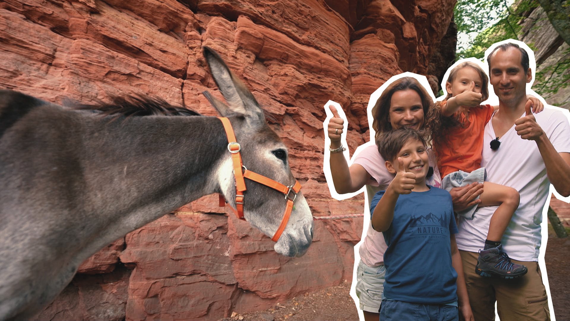 Outdoor Liebe: Mit Eseln wandern in Eppenbrunn | ARD Mediathek