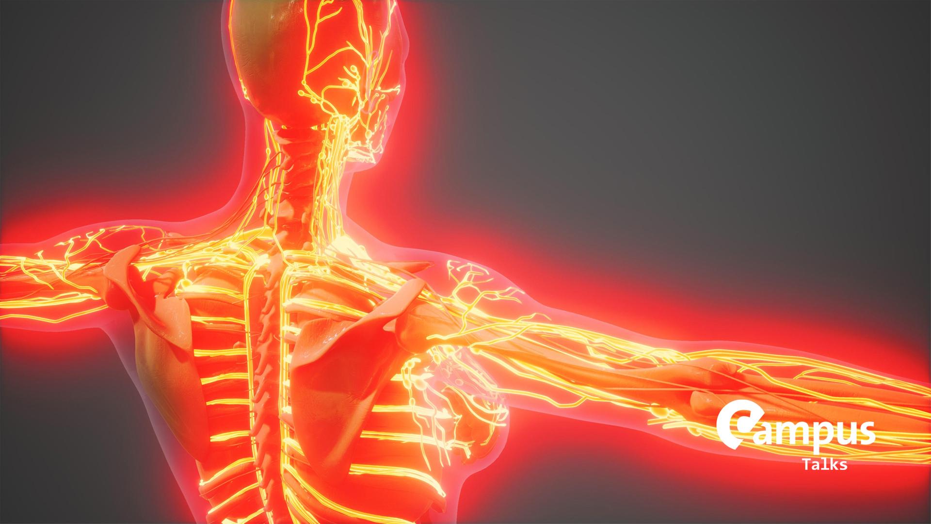 Campus Talks: Unsere Adern - Strom des Lebens | ARD Mediathek