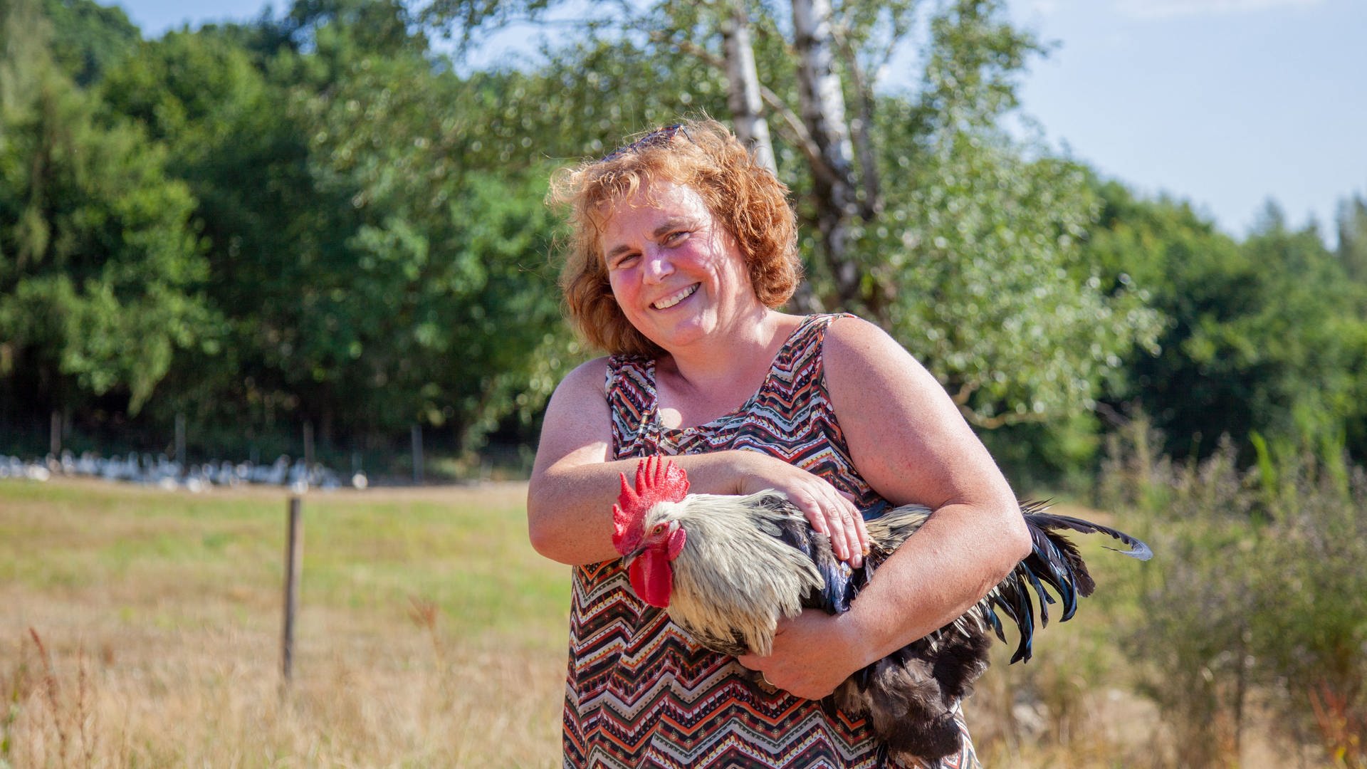 Lecker aufs Land: Ein neues Leben auf dem Geflügelhof (S14/E05) | ARD ...
