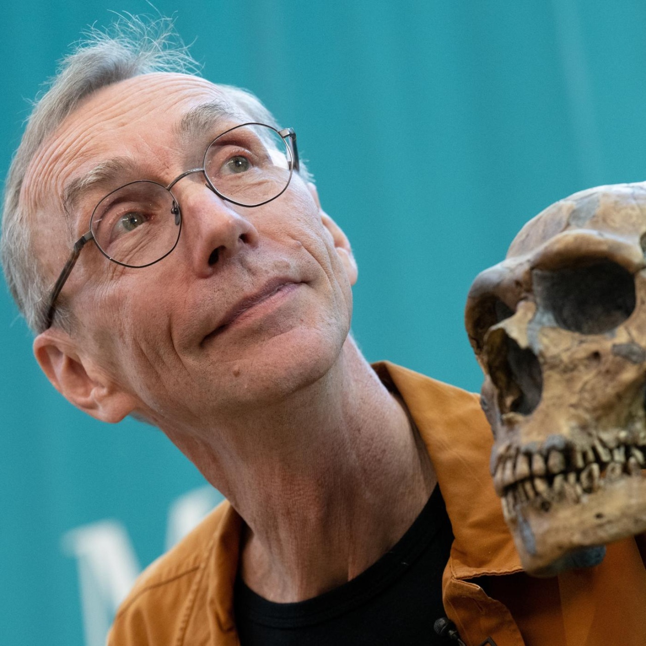 Alles Geschichte - Der History-Podcast · DIE STEINZEIT – Der Denisova ...