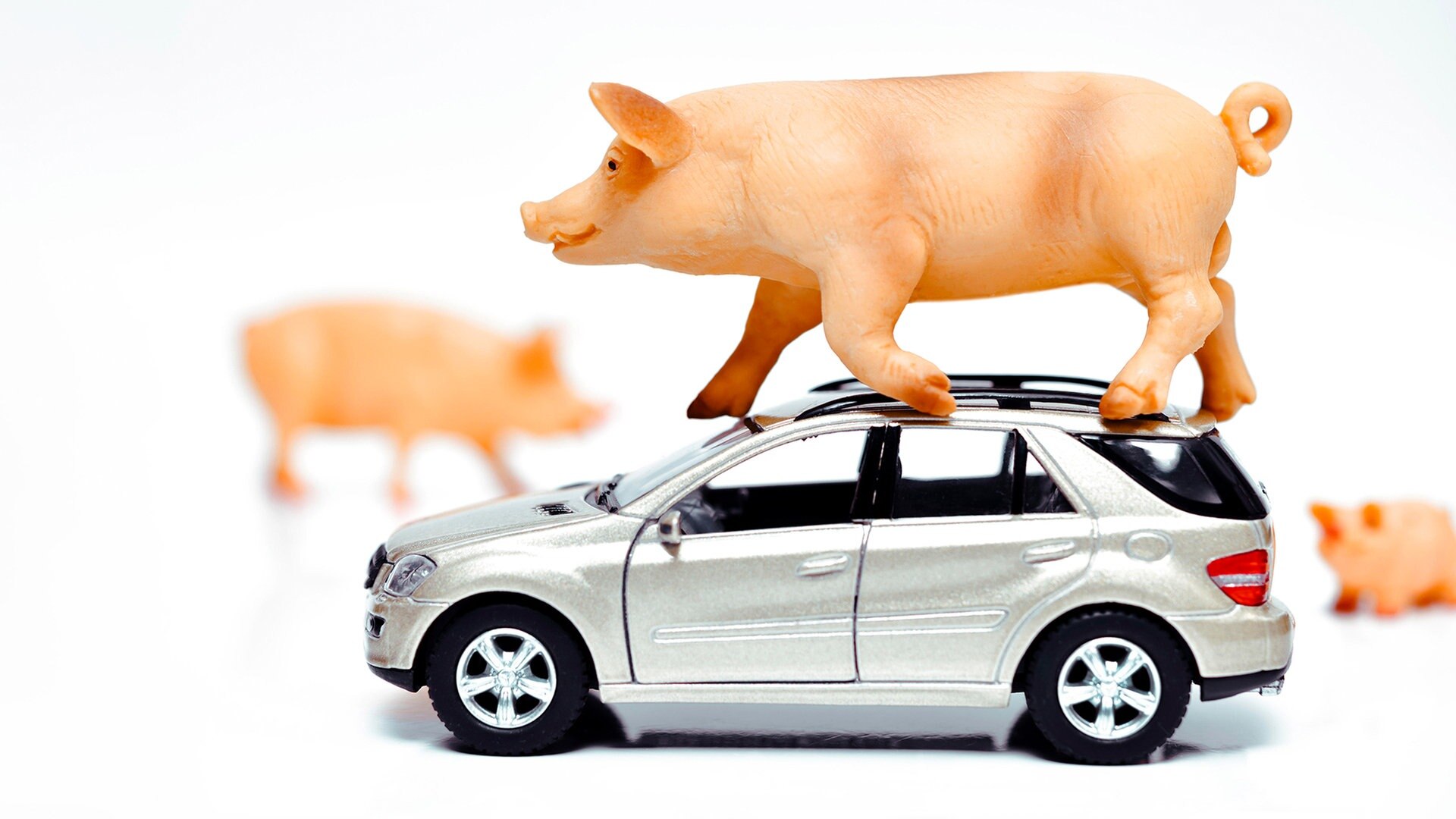 extra 3: Song zum Klimaschutz: Und Freitag trenn ich Müll | ARD Mediathek