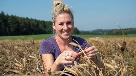Videos zu Lecker aufs Land | ARD Mediathek
