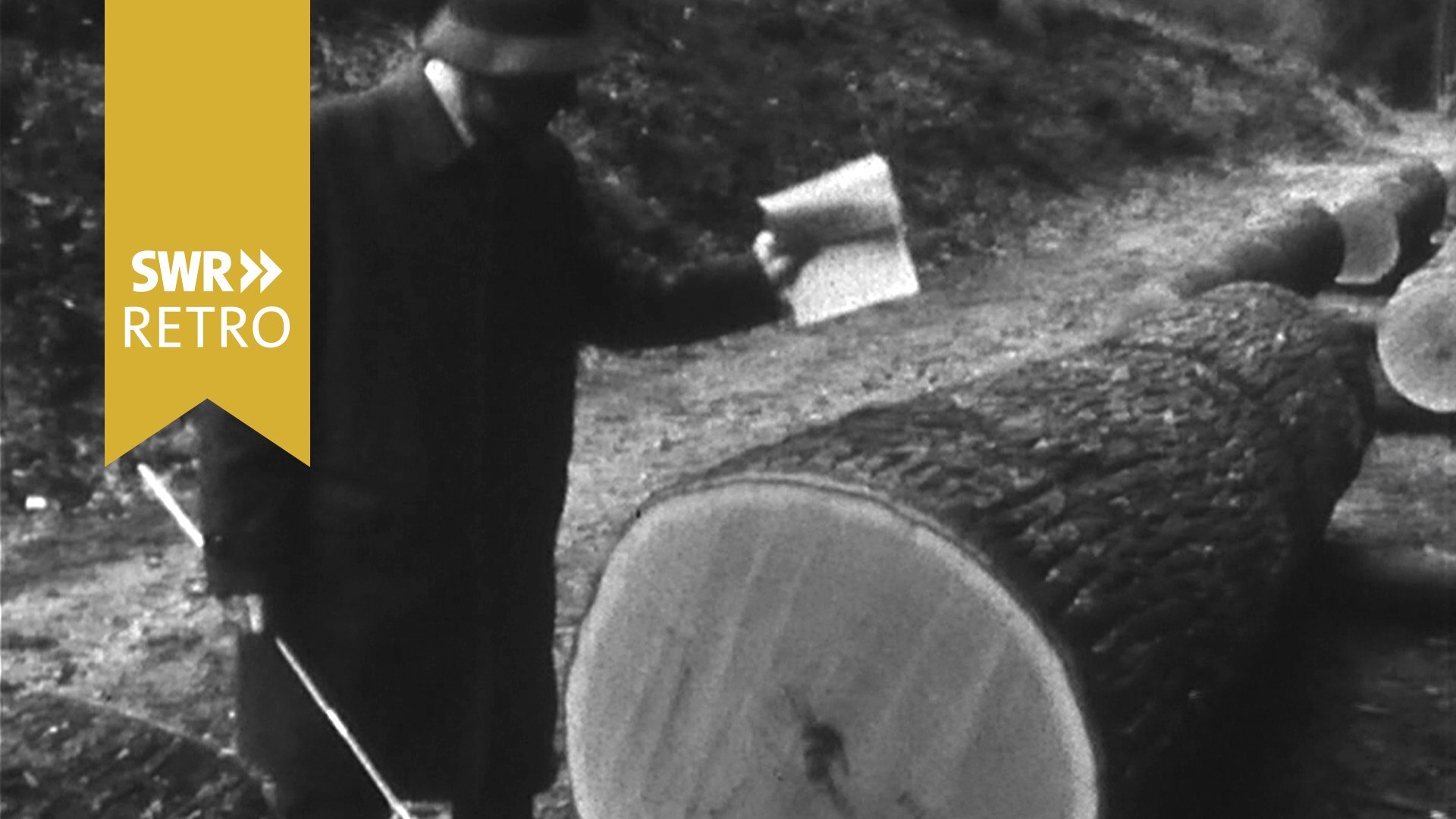 SWR Retro - Abendschau: Eichen-Versteigerung | ARD Mediathek