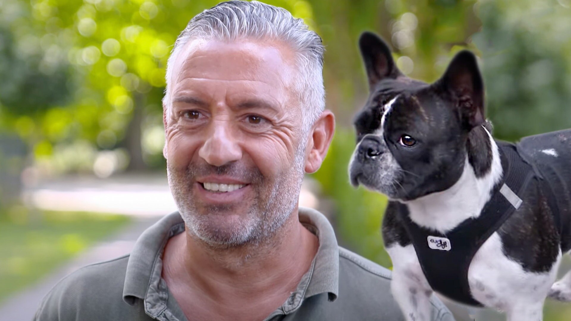 Hunde verstehen!: Hundebegegnungen entspannt gestalten (S03/E04) | ARD ...