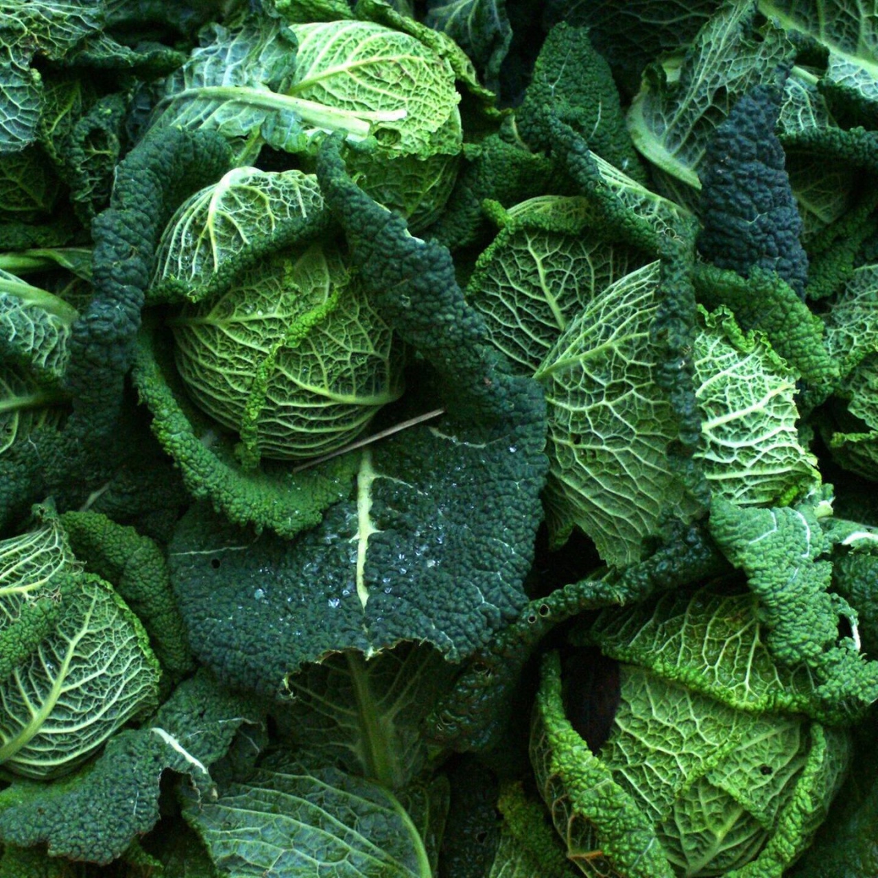 SWR3 Comedy · Kienzle und das Vegan-Wissen · Podcast in der ARD Audiothek