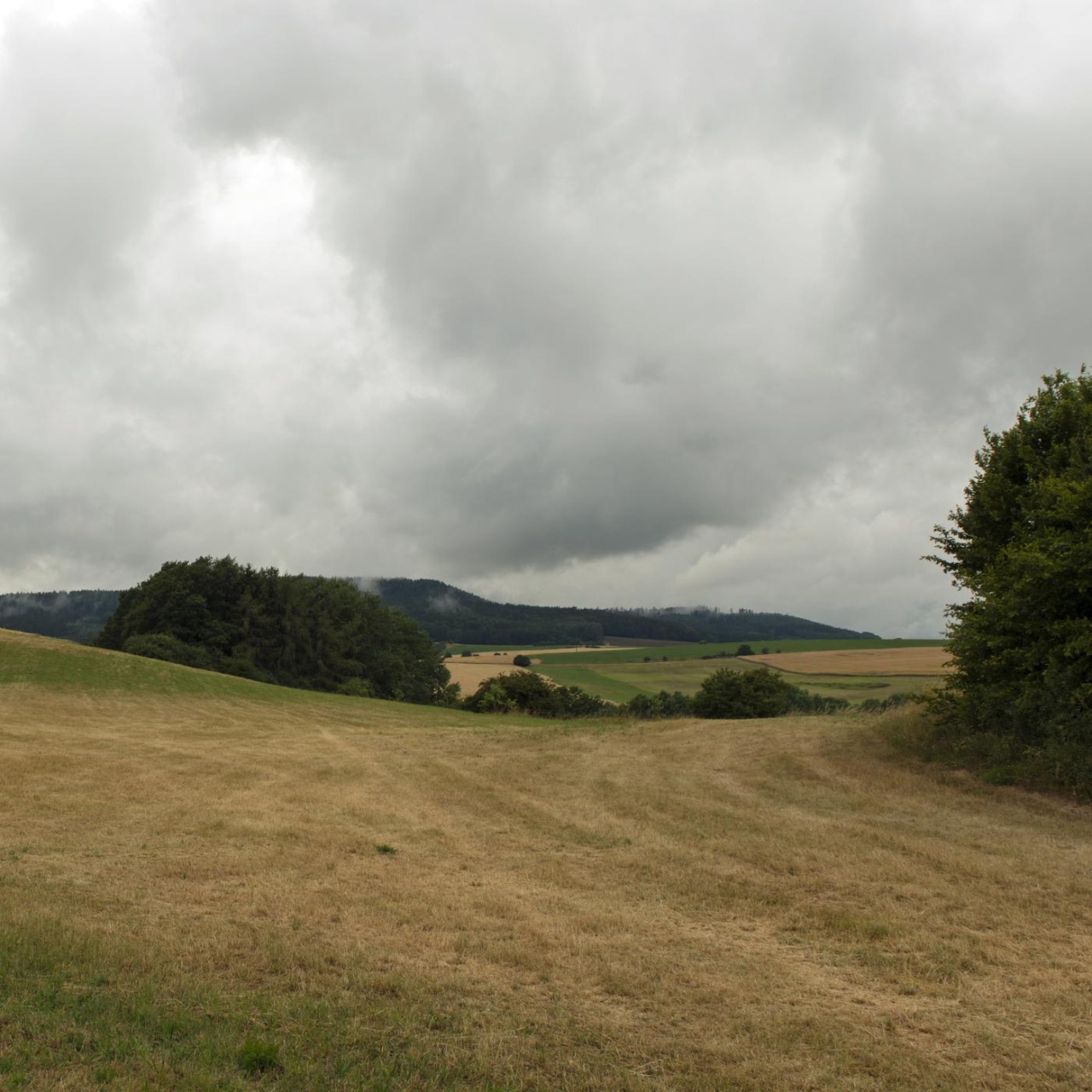 Aktuelle Interviews · Hilfe, wenn die Seele streikt - Gespräch mit Heidi Perzl ...