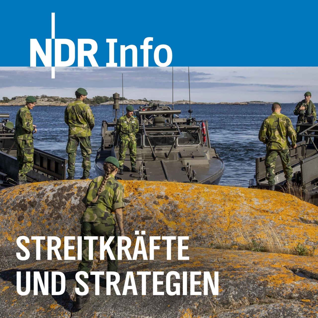 Streitkräfte und Strategien · Wie Schweden wegen Putin aufrüstet (mit ...