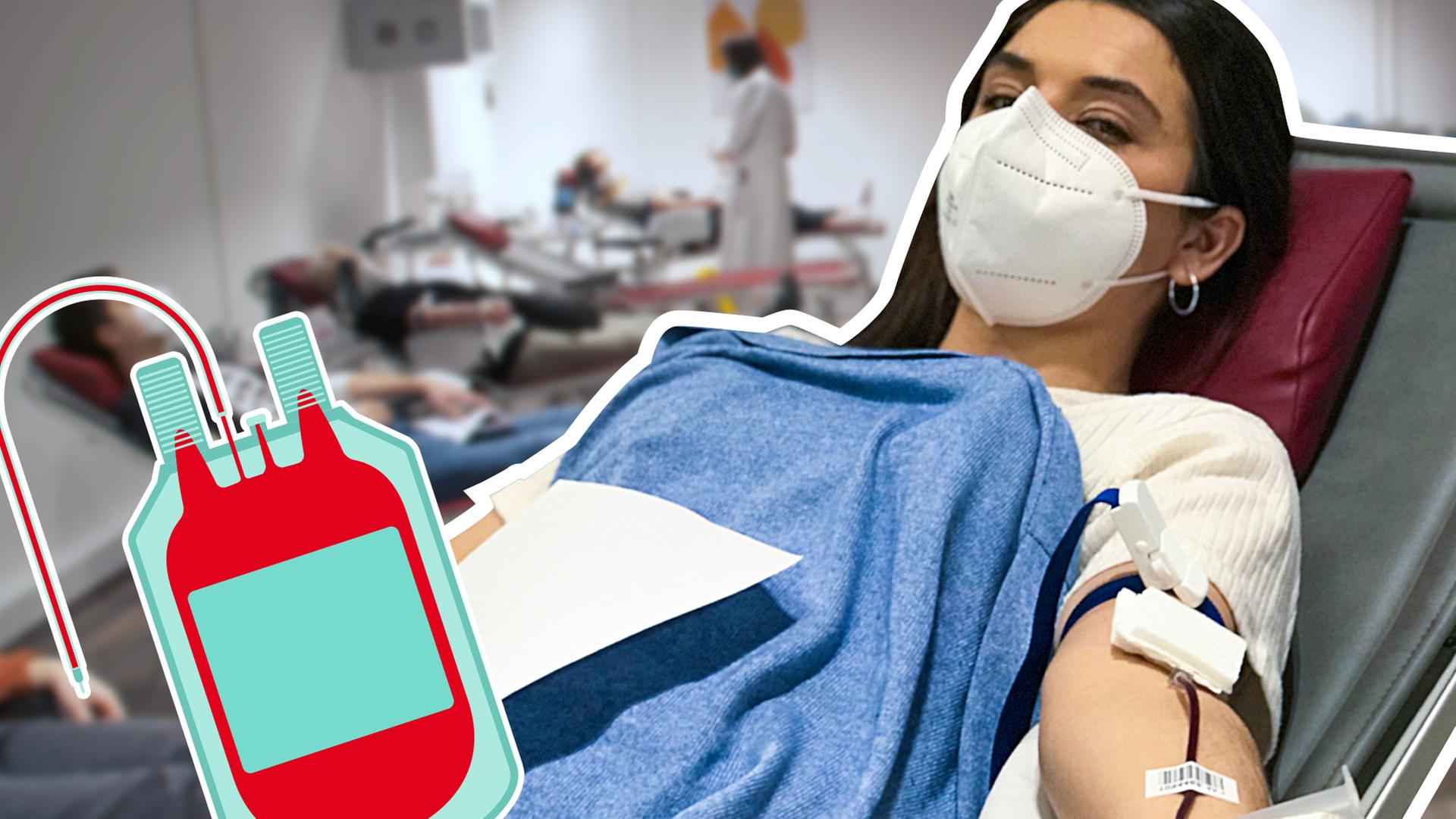 Puls Reportage Warum Ist Blutspenden So Wichtig Und Wie Läuft Das Ab