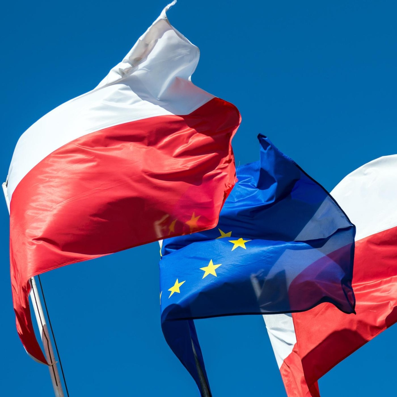 Aktuelle Interviews · EU-Länder nach der Europawahl - Martin Adam, ARD ...