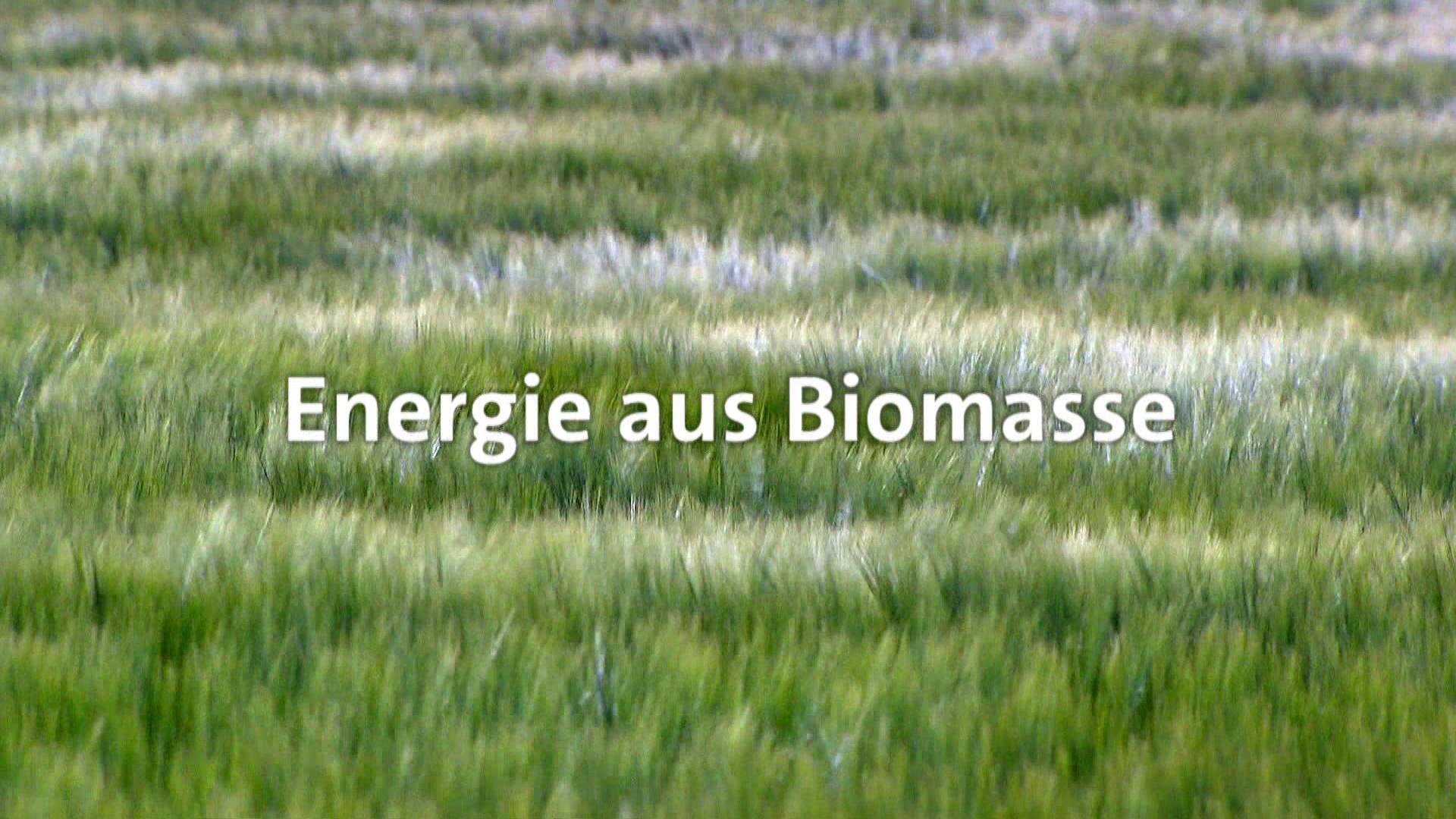 Planet Schule: Energie aus Biomasse · total phänomenal | ARD Mediathek