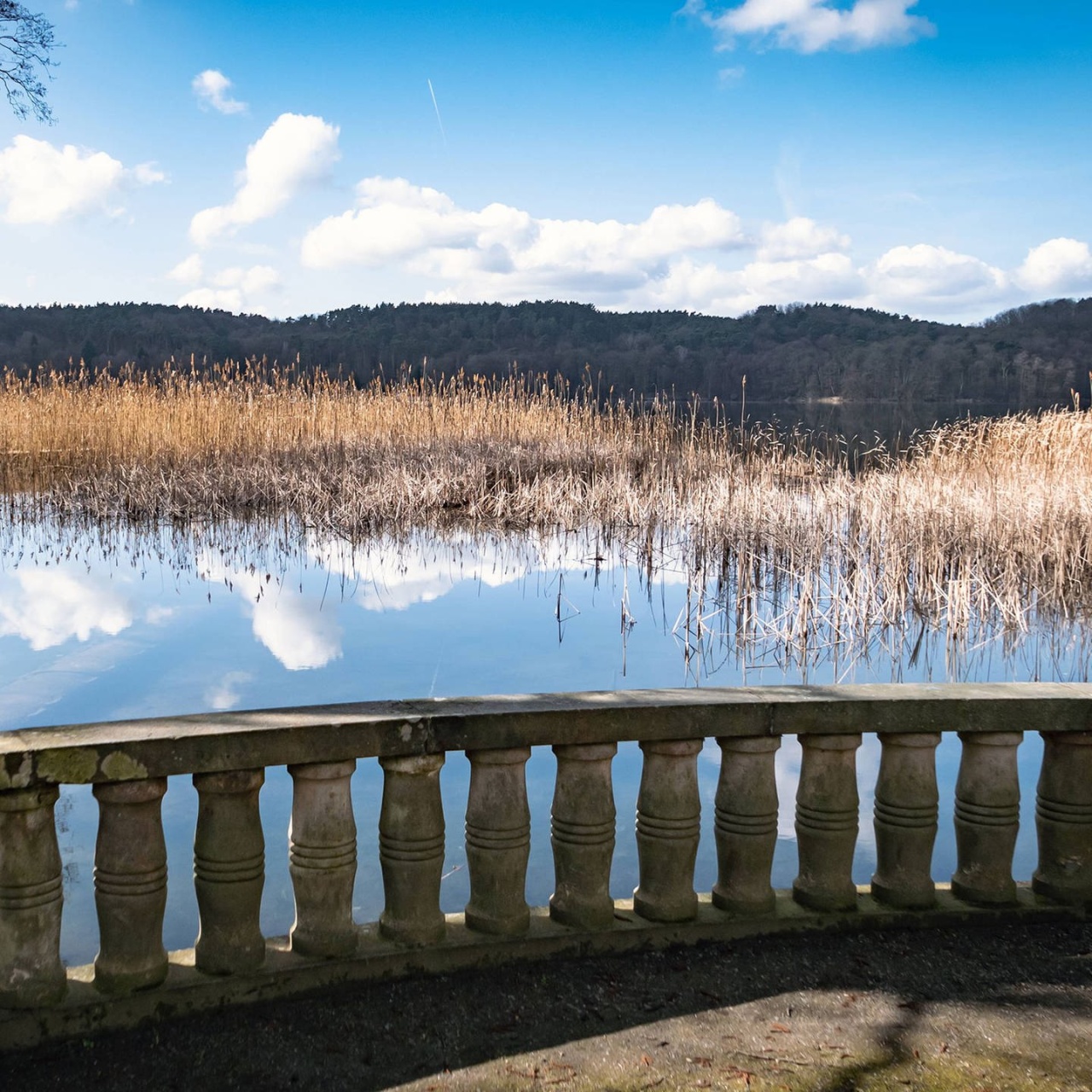 Leben · Zurück in den Osten - Neues Leben für eine abgehängte Region ...