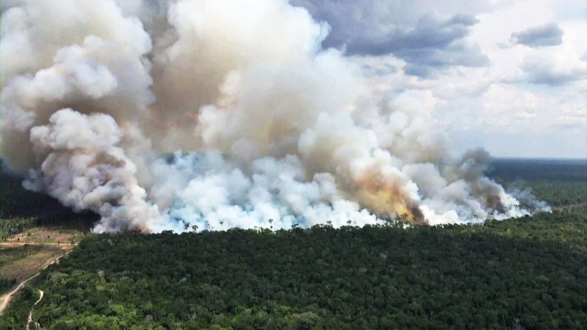 BRISANT: Abholzung des Regenwaldes auf Rekordniveau | ARD Mediathek BRISANT: Abholzung des Regenwaldes auf Rekordniveau | ARD Mediathek