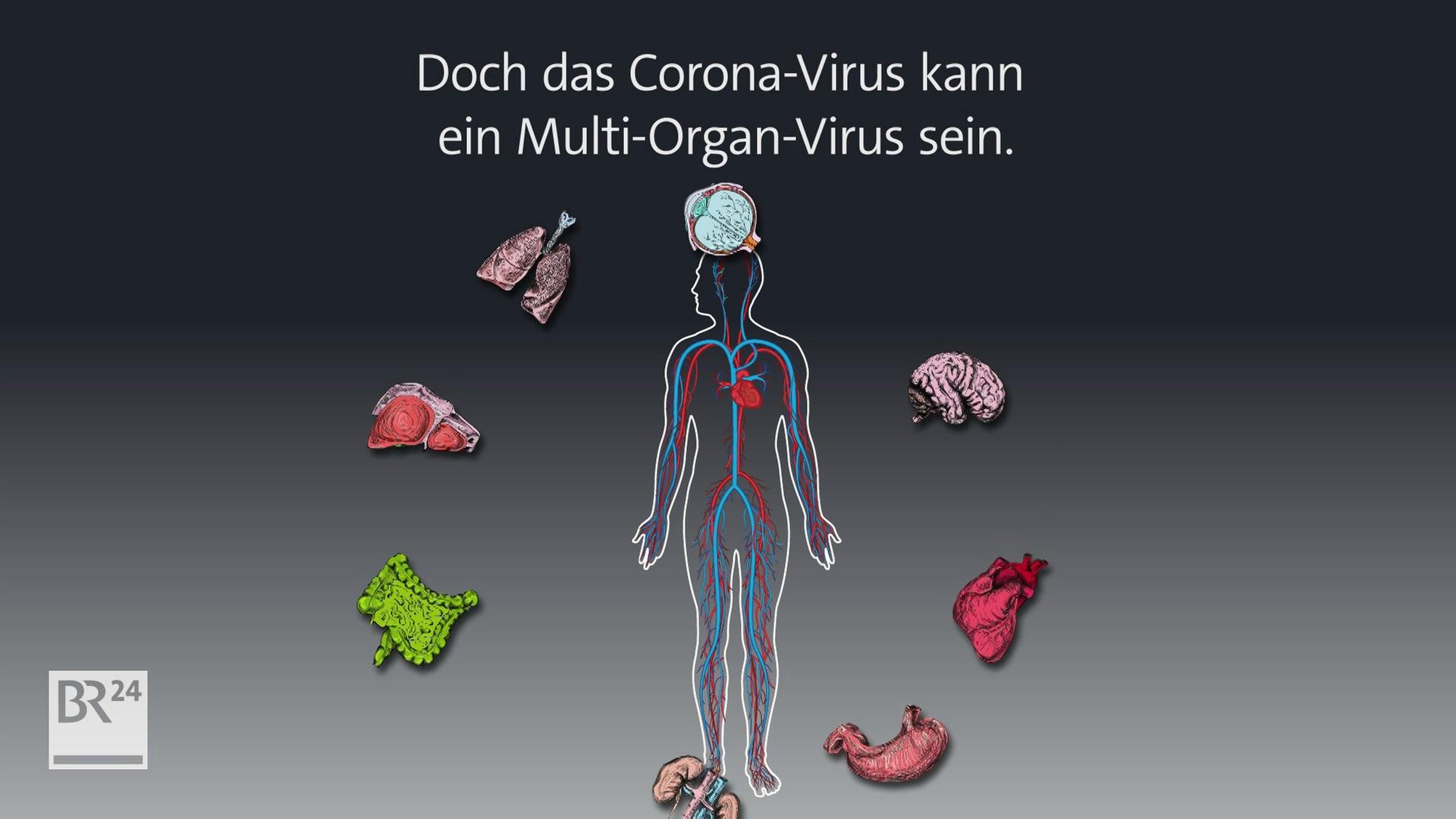 alpha-wissen kompakt: Was kann Corona im Körper alles anrichten? | ARD ... alpha-wissen kompakt: Was kann Corona im Körper alles anrichten? | ARD ...