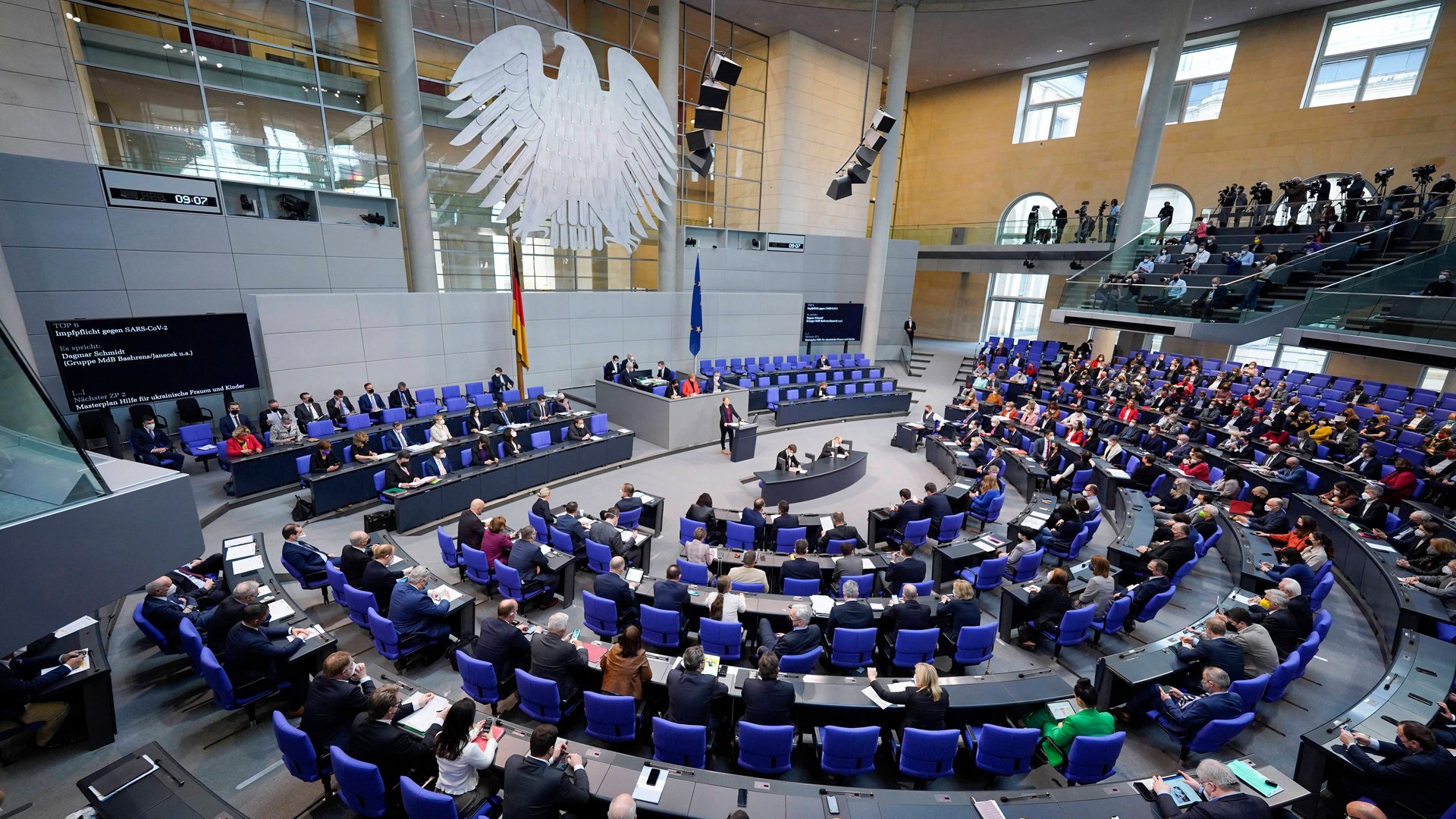 phoenix live - Livestream der ARD | ARD Mediathek phoenix live - Livestream der ARD | ARD Mediathek