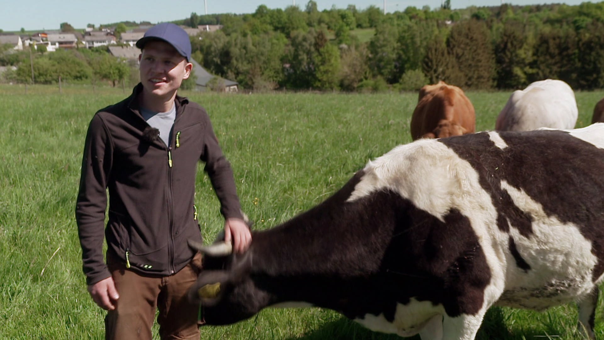 made in Südwest: Nachhaltiges Fleisch aus dem Hunsrück | ARD Mediathek