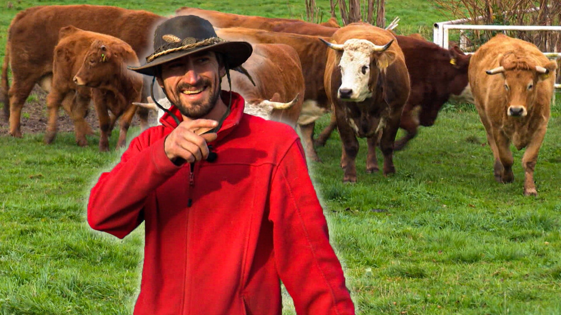 Hofgeschichten: Leben auf dem Land: Klauenpflege für die Kühe | ARD ...