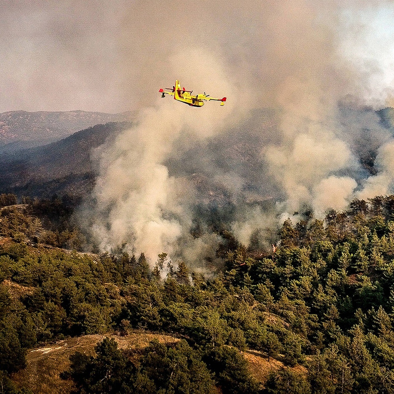 Das Interview von MDR AKTUELL · Feuer auf Rhodos noch nicht unter ... Das Interview von MDR AKTUELL · Feuer auf Rhodos noch nicht unter ...